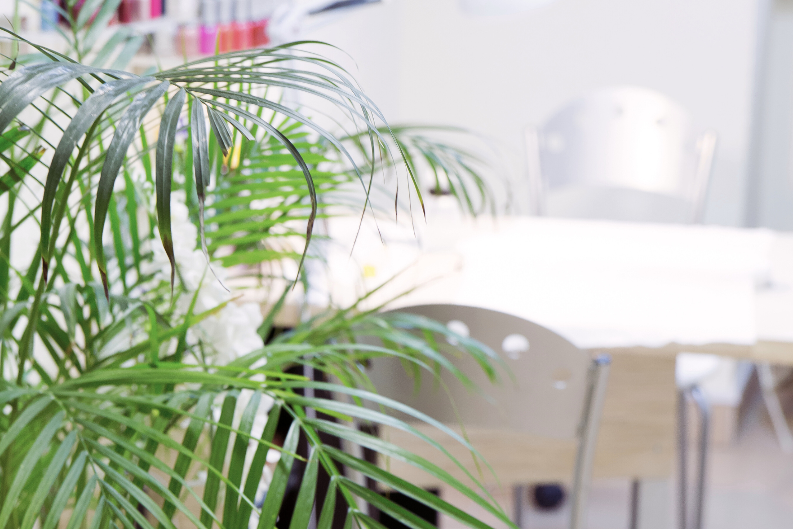 5 Interview Tips For Aspiring Beauticians – La Beeby
